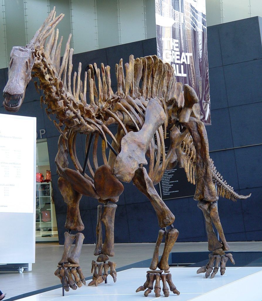 Amargasaurus - "The Lizard from La Amarga" - urzeittiere.net