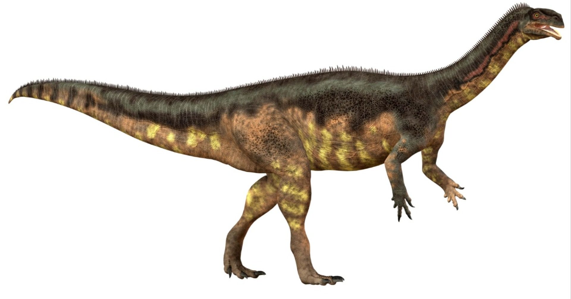 Plateosaurus - urzeittiere.net